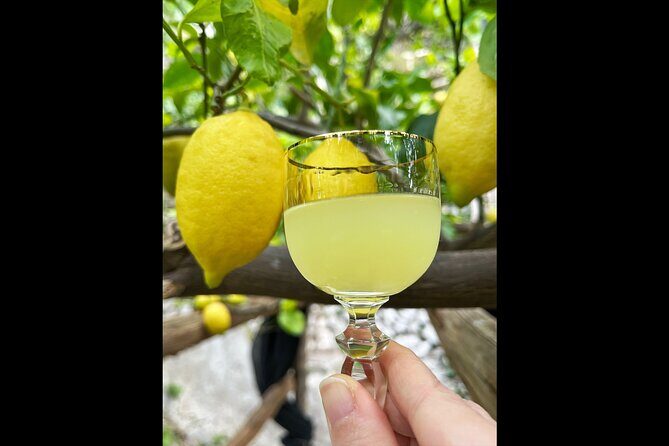 Authentic Amalfi Lemon Tour & Tasting in the Historical Garden - The Sum Up