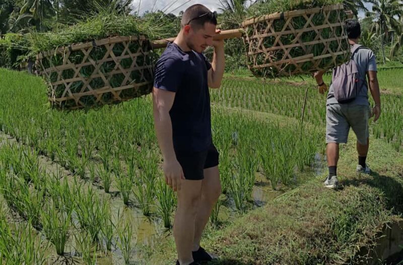 Authentic Balinese Local Life Experience in Pinge Village - Practical Details and Tips