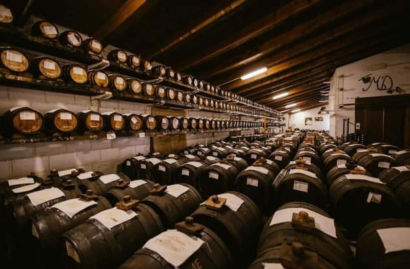 Authentic Balsamic Vinegar Tour & Tasting in Modena - Key Points