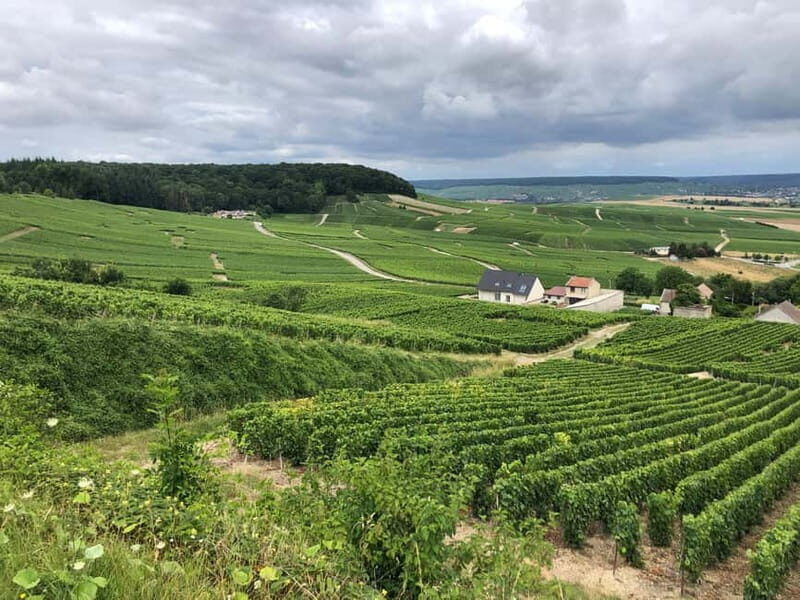 Authentic Champagne Tour: 3 vineyards, 10 Tastings & Lunch - An Overview of the Experience