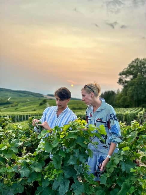 Authentic Champagne Tour: 3 vineyards, 10 Tastings & Lunch - What Makes This Tour Value-Driven