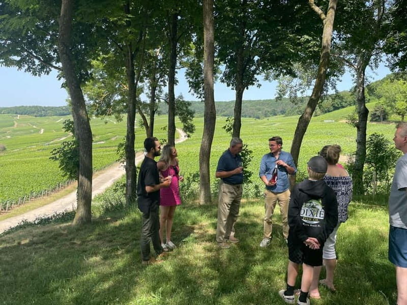 Authentic Champagne Tour: 3 vineyards, 10 Tastings & Lunch - Final Thoughts