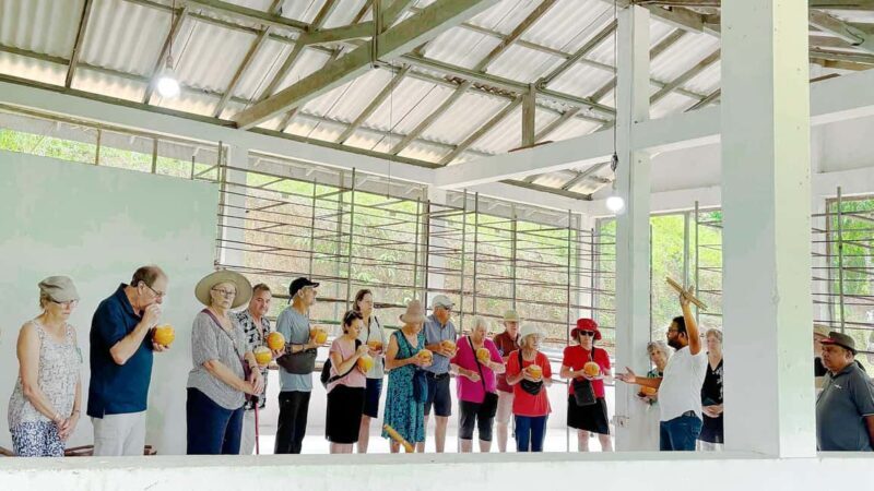 Authentic Cinnamon Tour with Cinnamon Tea Tasting Experience - Key Points