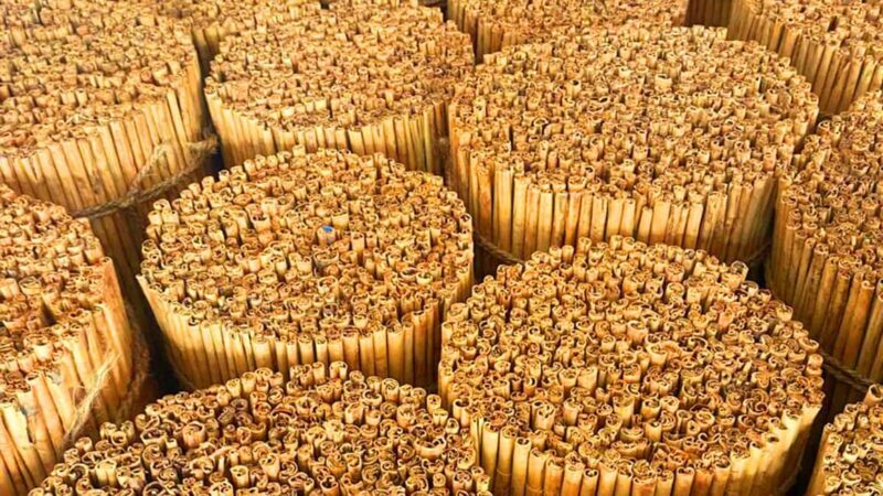 Authentic Cinnamon Tour with Cinnamon Tea Tasting Experience - Frequently Asked Questions