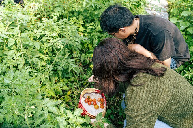 Authentic Cooking Class in Chinampa Xochimilco - A Deep Dive into the Experience