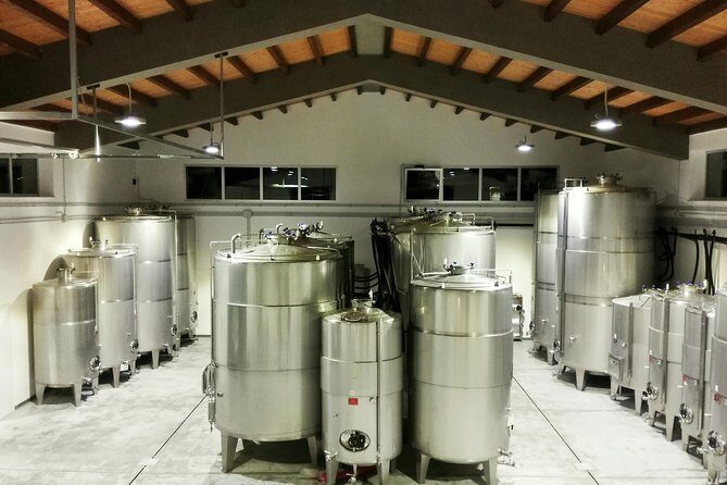 Authentic experience in organic winery - Exploring the Sicilian Wine Experience