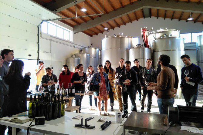 Authentic experience in organic winery - The Reviews Speak for Themselves