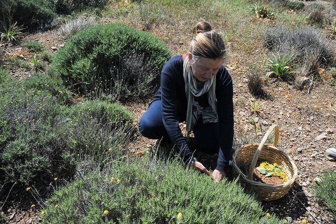 Authentic Greek Cooking & Foraging Experience in Syros with Maria - An In-Depth Look at the Experience