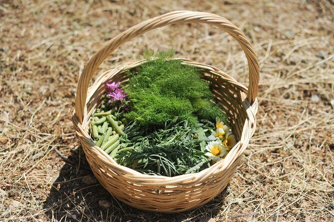 Authentic Greek Cooking & Foraging Experience in Syros with Maria - The Sum Up
