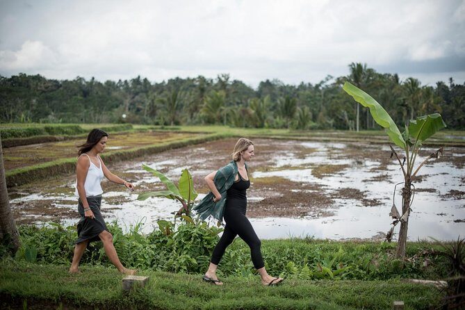 Authentic Hands-on Cooking Experience in Ubud - Final Thoughts: Who Will This Suit?