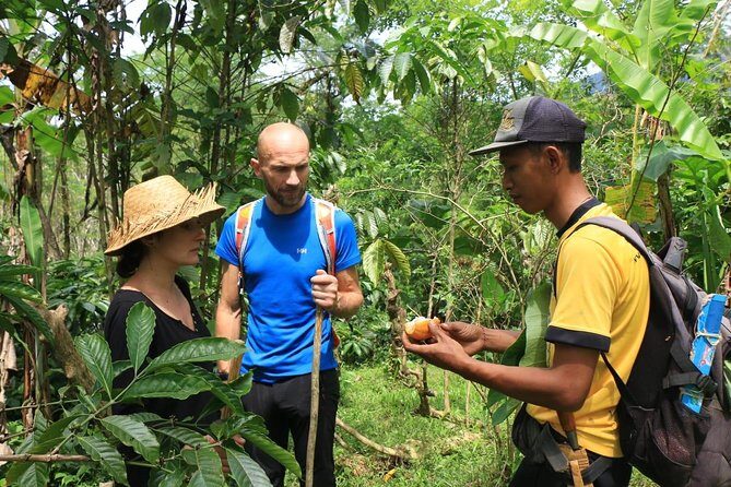 Authentic hike in the forest with lunch at the inhabitant - Walking and Learning in the Forest