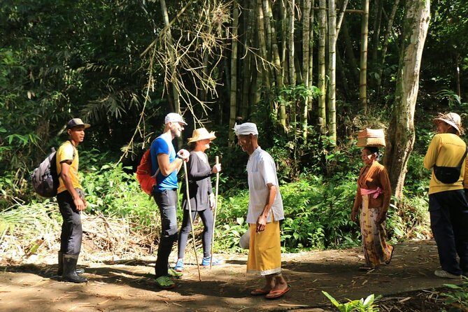 Authentic hike in the forest with lunch at the inhabitant - Pricing and Value