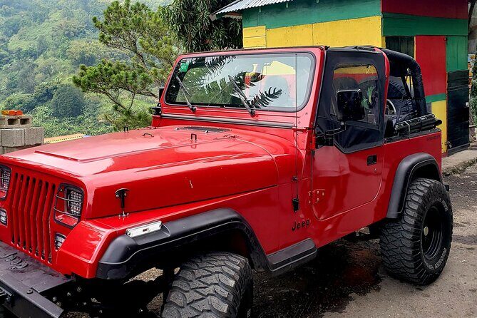 Authentic Jamaica: A Local's Guide Tour - Frequently Asked Questions