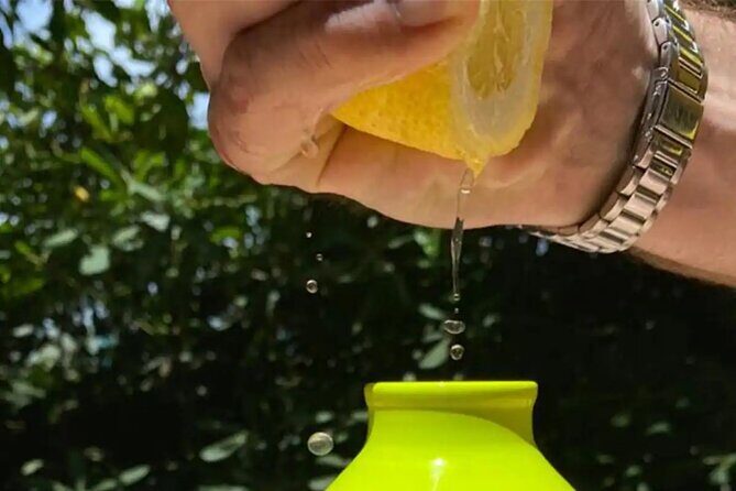 Authentic Lemon Experience at a Farm in Sorrento with Tastings - The Sum Up