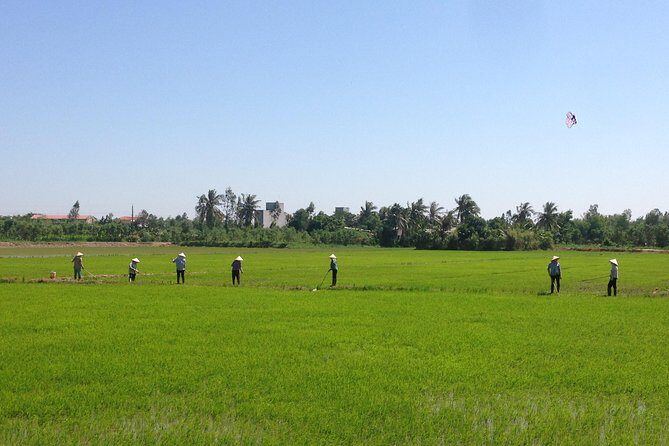 Authentic Mekong - Non touristic private day tour including 07 shots of alcohol - A Deep Dive into the Mekong Private Tour