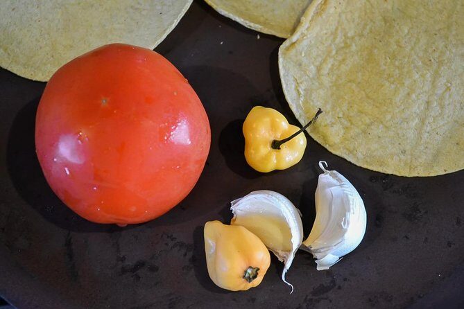 Authentic Mexican Cooking Class in Playa del Carmen - FAQs