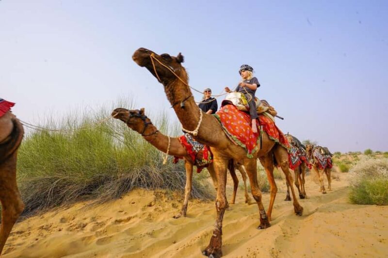 Authentic Overnight Camel Safari & Sleep Under the Stars - Key Points