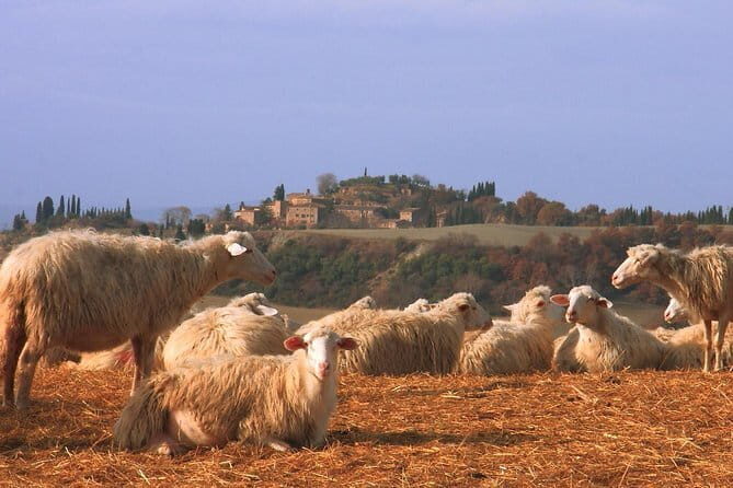 Authentic Pasta Class in Florence - Who Should Book This Class