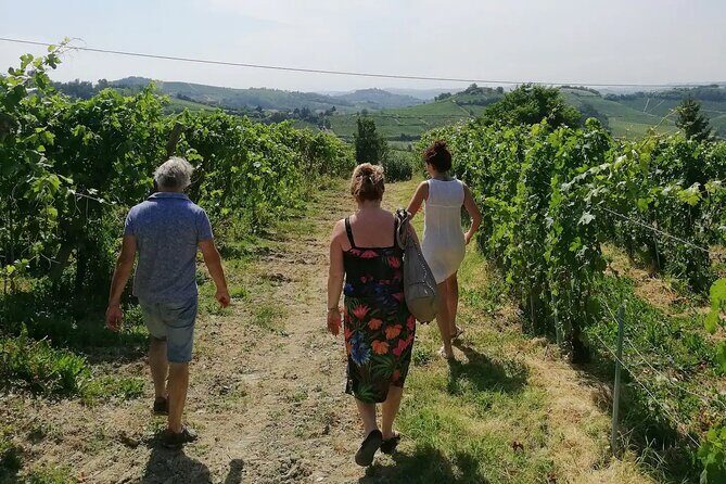 Authentic Piedmont wine tour with a local Sommelier - Who Would Enjoy This Tour?