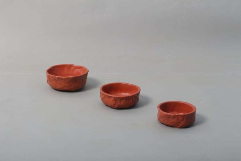 Authentic Pottery Workshop in Udaipur, Rajasthan - Who Should Book This Tour?