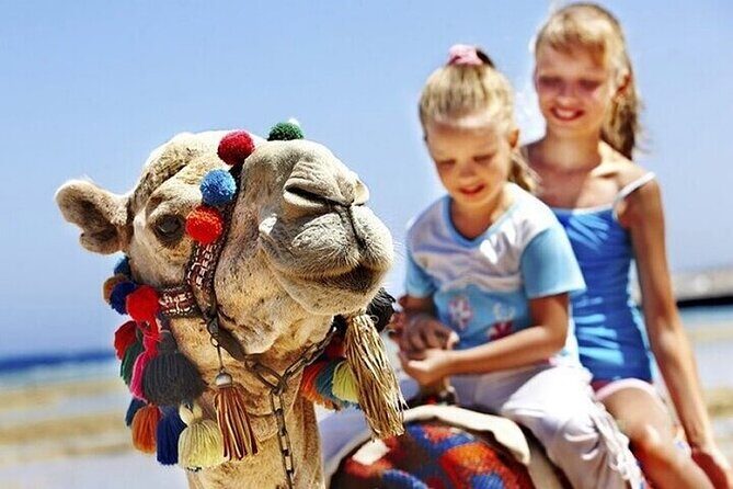 Authentic Private Tangier Tour from Cadiz Camel Ride & Lunch - The Return Journey and Overall Feedback