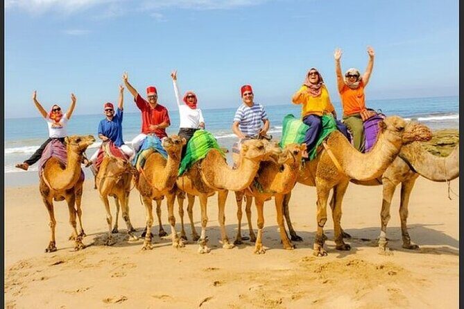Authentic Private Tangier Tour from Estepona Camel Ride & Lunch - Key Points