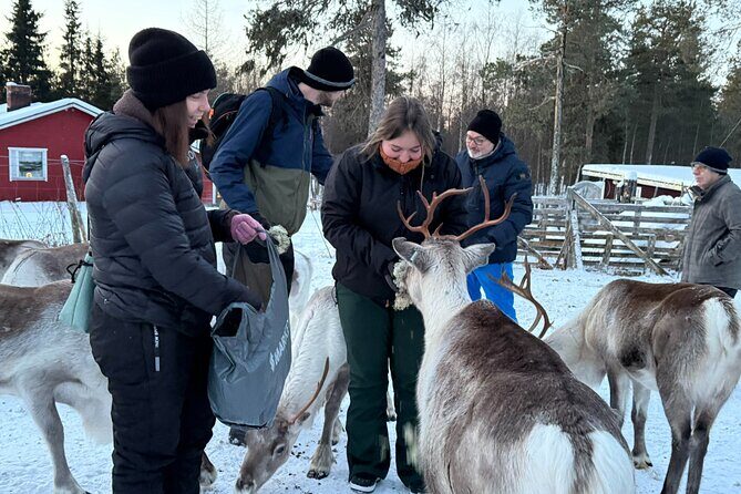 Authentic Reindeer Experience and Ice Fish with Lunch in the Wild - FAQ
