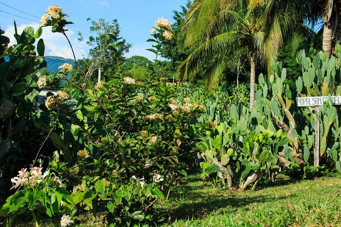 Authentic Rural Mexican Experience Adventure - Detailed Itinerary Breakdown