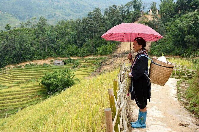 Authentic Sapa 3 Days 2 Nights 3star Hotel Trekking and Relaxing - An In-depth Look at the Itinerary and Experience