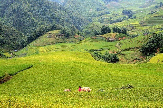 Authentic Sapa 3 Days 2 Nights 3star Hotel Trekking and Relaxing - Final Thoughts