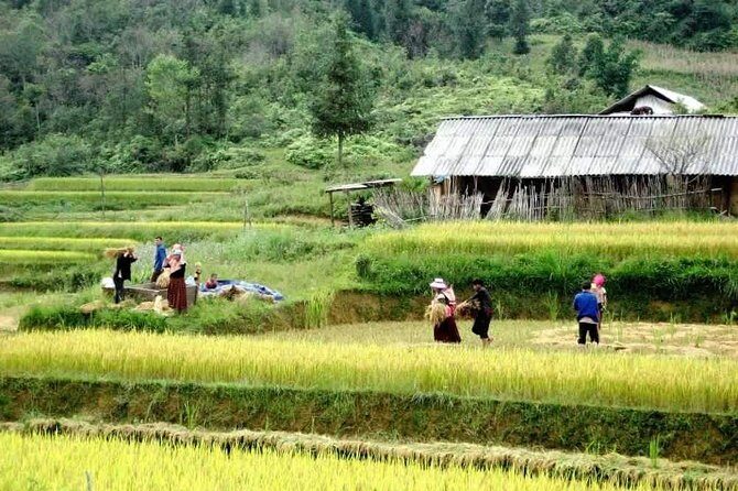 Authentic Sapa Trekking With Local Family Homestay (2d1n by bus) - Our perspective on this Sapa tour