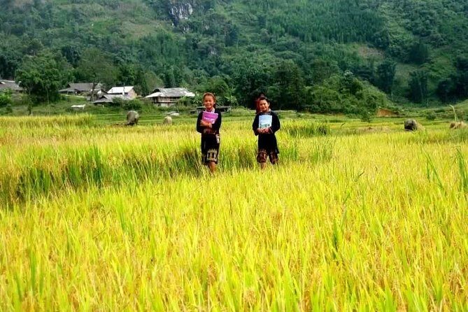 Authentic Sapa Trekking With Local Family Homestay (2d1n by bus) - Who is this tour perfect for?