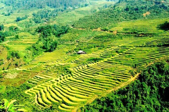 Authentic Sapa Trekking With Local Family Homestay (2d1n by bus) - Frequently Asked Questions (FAQs)
