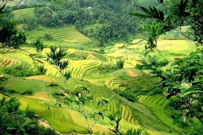Authentic Sapa Trekking With Local Family Homestay (2d1n by bus) - Final thoughts