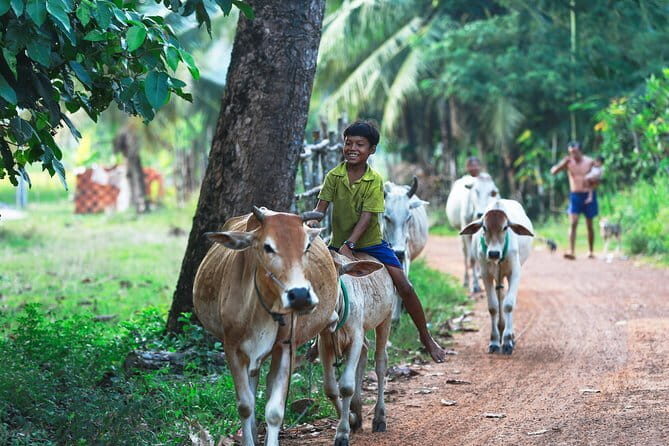 Authentic Siem Reap: Tuk Tuk Countryside and Sunset Tour - Final Thoughts