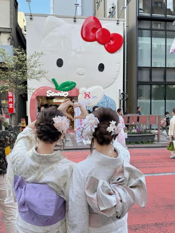 Authentic Silk Kimono Experience in Asakusa - Who Should Consider This Experience?