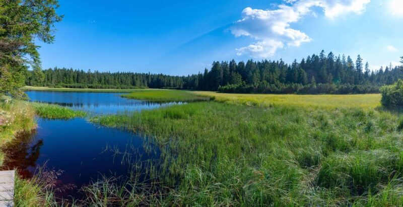 Authentic Slovenia: A Mystery Travel Day Tour - Analyzing the Price: Is It Worth It?