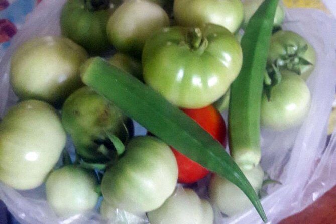 Authentic South Indian Cooking Class and Vegetarian Meal with a Local in Chennai - Why This Tour Will Delight the Right Traveler