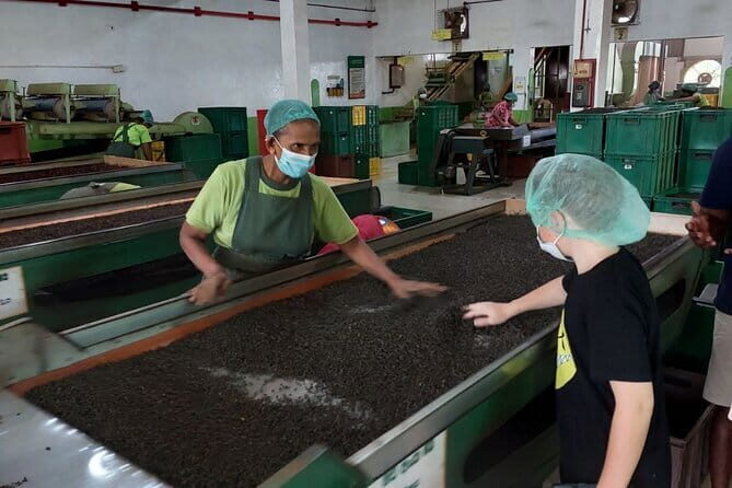 Authentic Sri Lankan Villages Private Guided Tour with Lunch - A Full Breakdown: What to Expect on the Tour