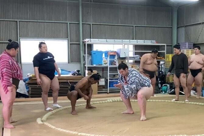 Authentic Sumo Stable Morning Training Experience Osaka - A Deep Dive into the Experience