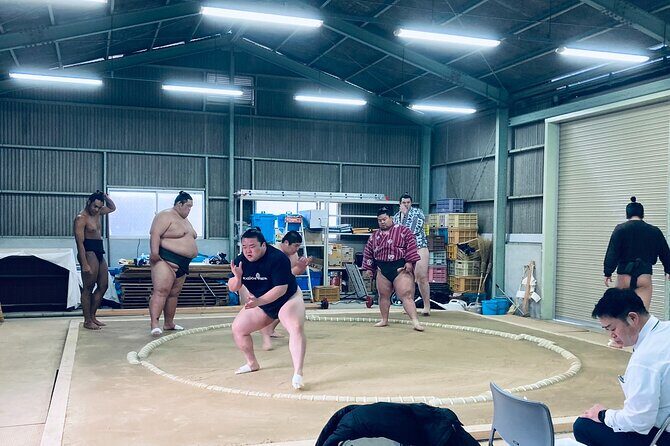 Authentic Sumo Stable Morning Training Experience Osaka - Who Will Love This Tour?