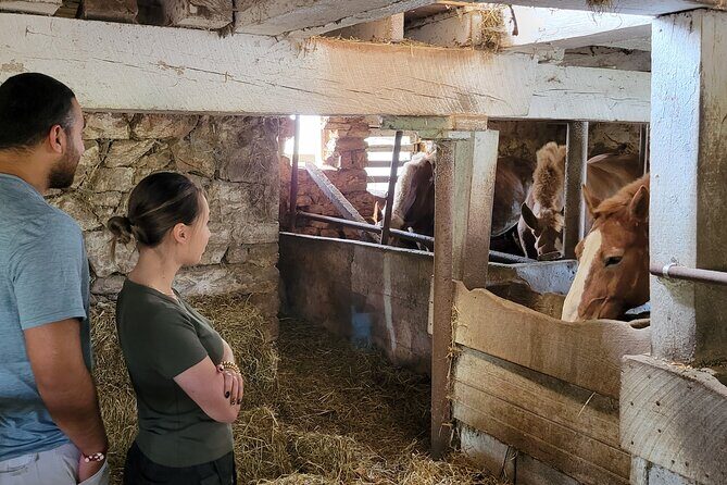 Authentic Tour & Meal with the Amish! - Conversation and Cultural Insights