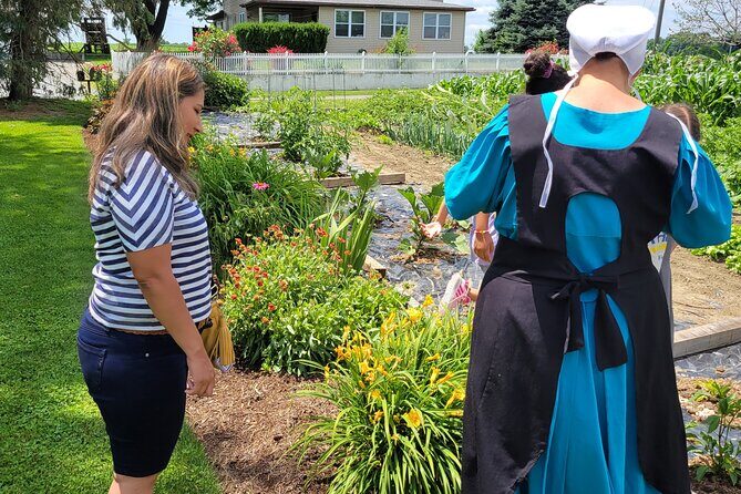 Authentic Tour & Meal with the Amish! - Review Highlights and Authentic Feedback