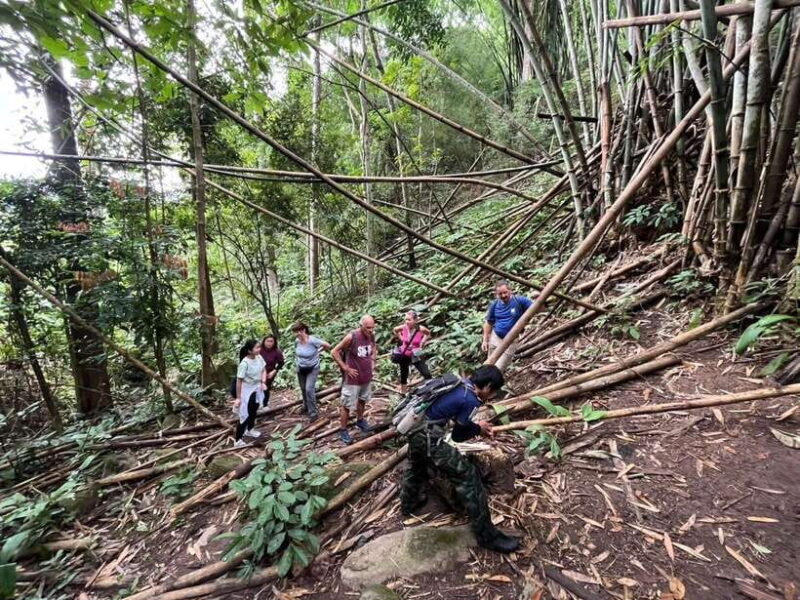 Authentic trek only walk in Chiang Rai jungle - Final Thoughts
