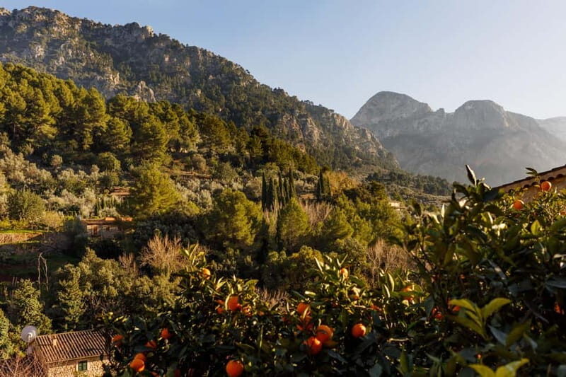 Authentic Vall de Sóller: Day Trip - A Deeper Look at the Vall de Sóller Experience