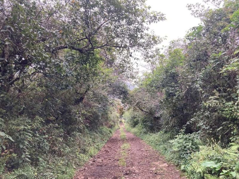 Authentic Veracruz: Guided Hike from Naolinco to Acatlán with Meal - An Introduction to the Experience