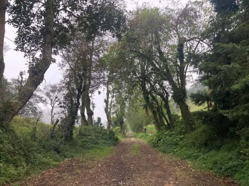 Authentic Veracruz: Guided Hike from Naolinco to Acatlán with Meal - Practical Details and Value