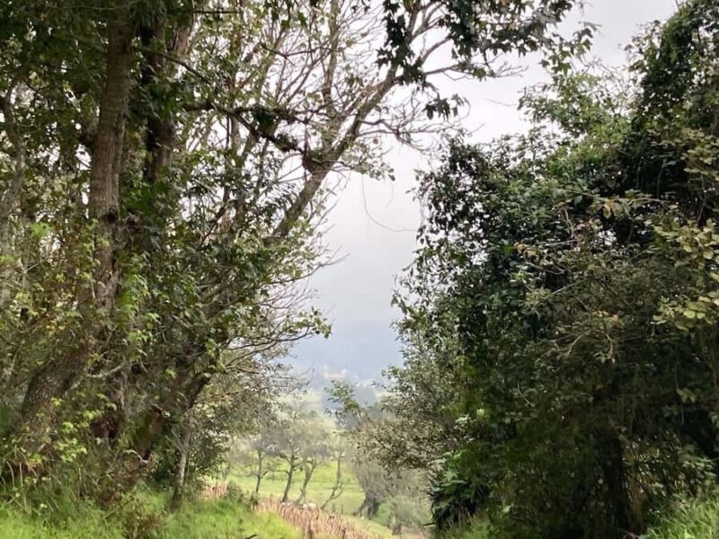 Authentic Veracruz: Guided Hike from Naolinco to Acatlán with Meal - Who Is This Tour Best For?