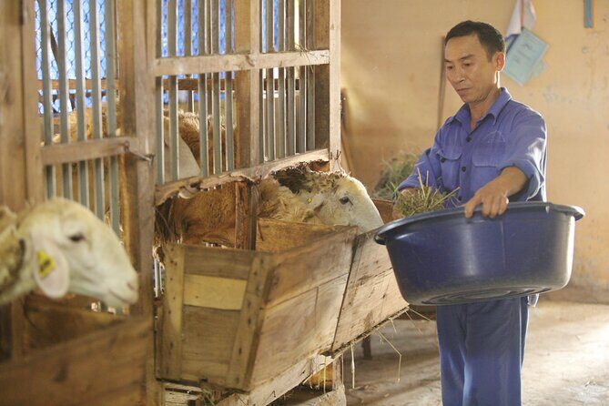 Authentic Vietnam Farming Full Day Small Group Tour - The Sum Up