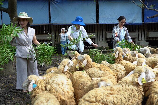 Authentic Vietnam Farming Full Day Small Group Tour - FAQ
